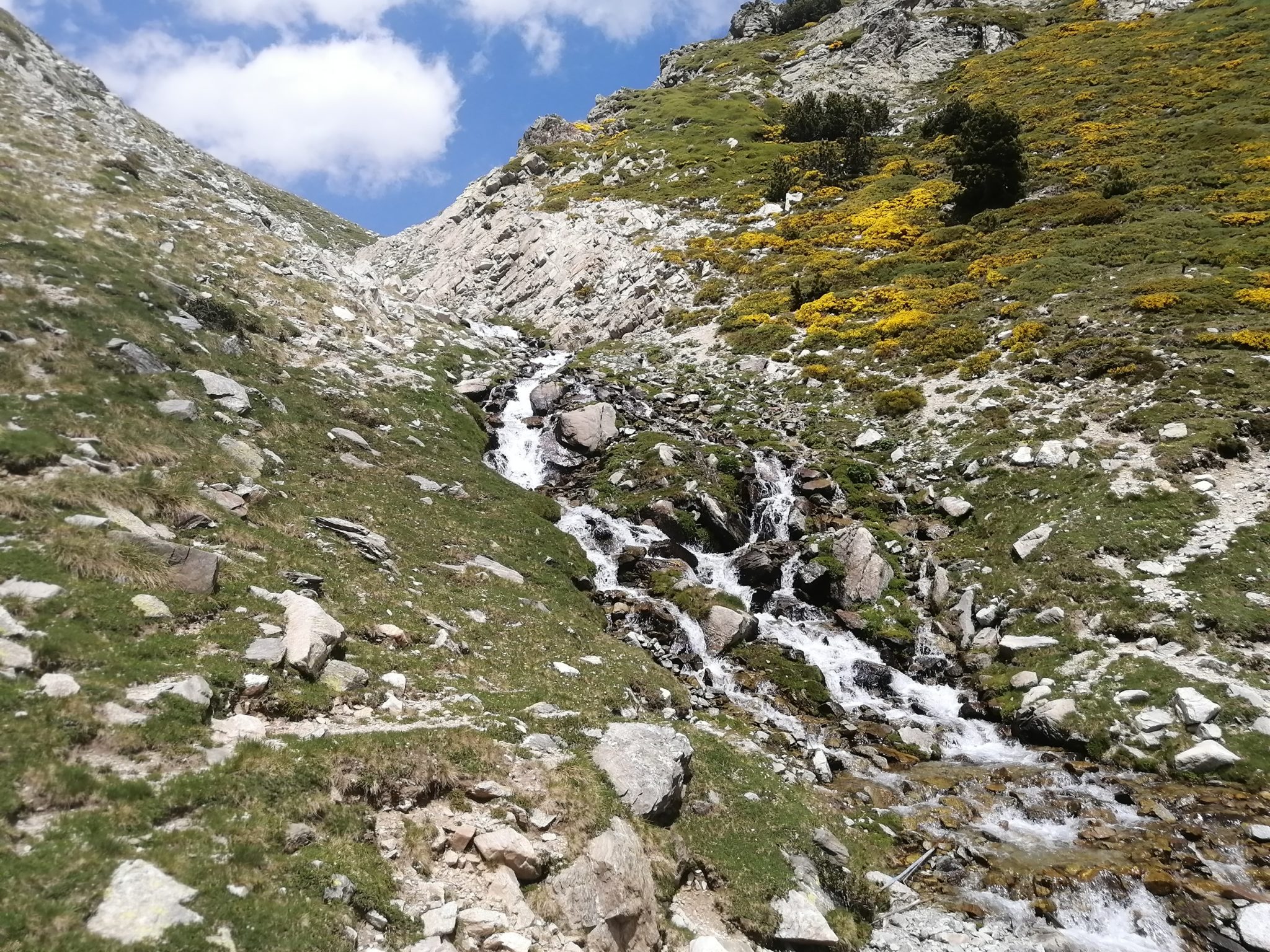 Naixement del riu Ter: el camí de l’aigua – Els viatges de la Nora